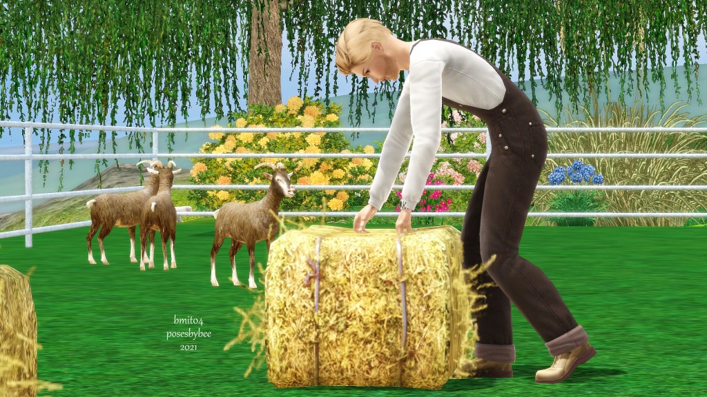 Around The Farm – Poses by Bee