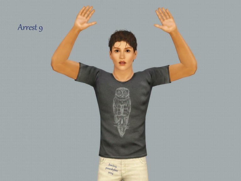Arrest Poses – Poses by Bee